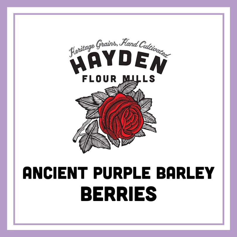 - Purple Barley Berries #PBY-WG-BULK